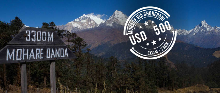 Mohare via Gorepani – Sherpa Backpackers